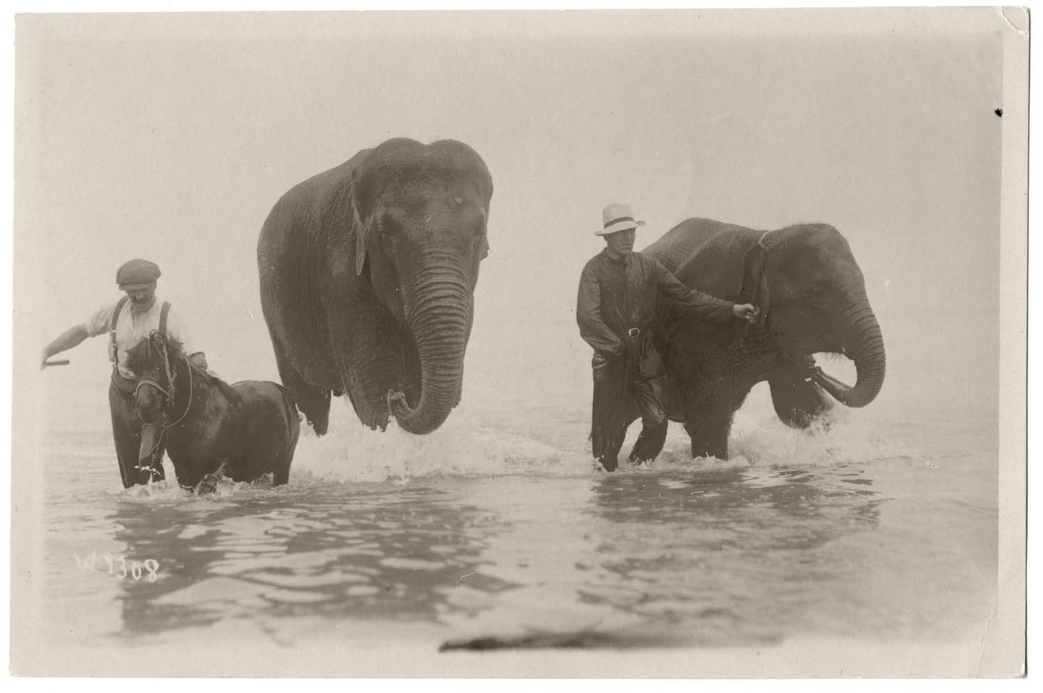 Dreamland Margate | Margate History